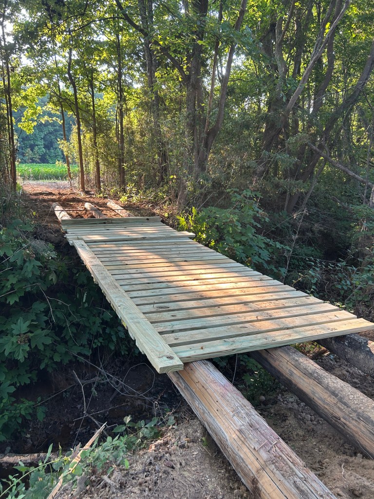 Building a Footbridge – Twin Lakes Campground